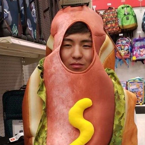 Our Team – Photonics and Soft Robotics Lab